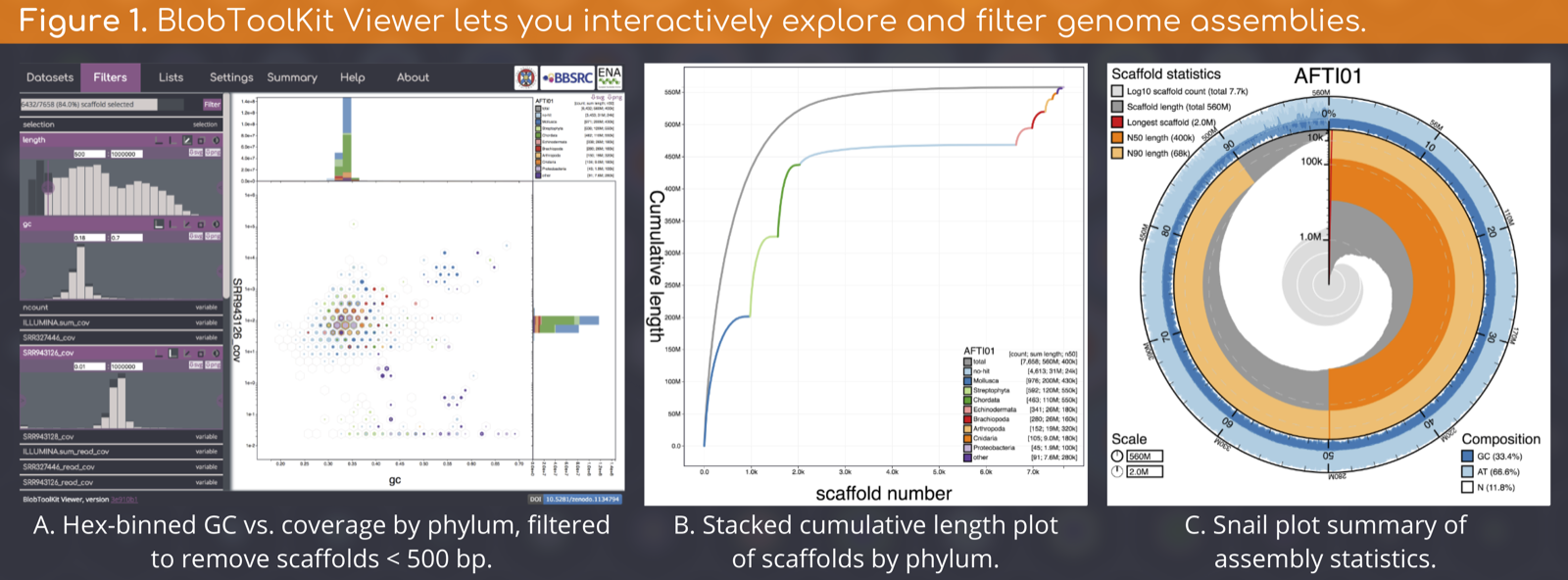 GitHub - photocyte/insdc-pipeline: SnakeMake pipeline to run BlobTools on public assemblies
