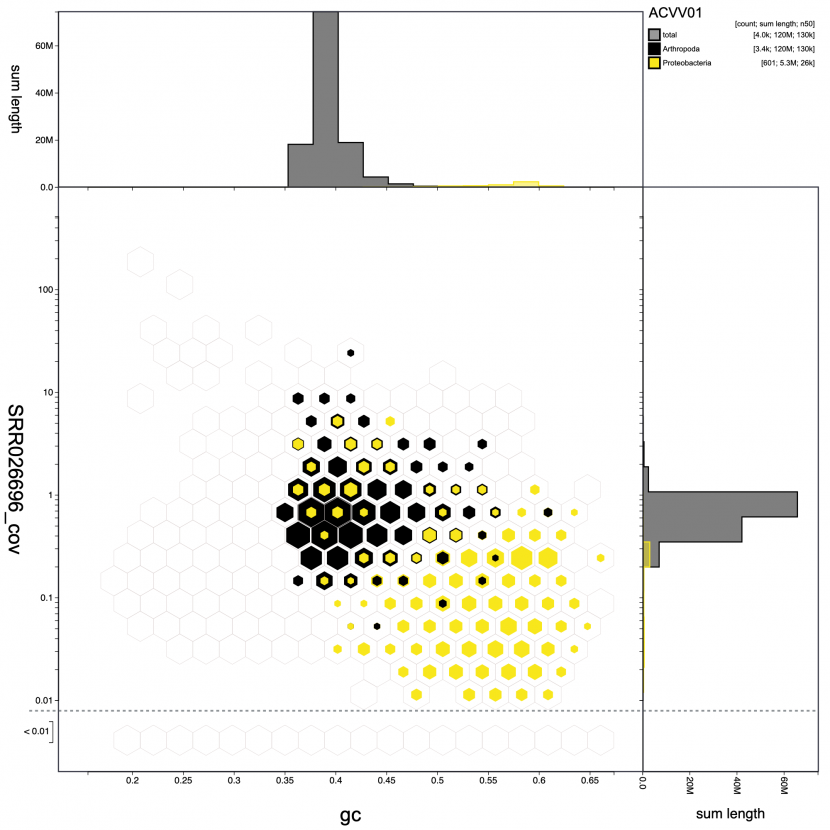 Reproducing interactive sessions – BlobToolKit