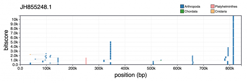 Exploring views – BlobToolKit