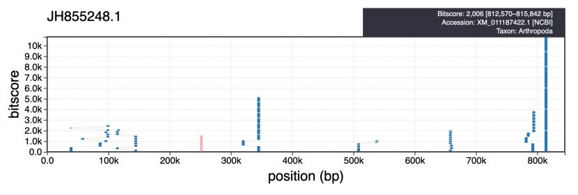 Exploring views – BlobToolKit